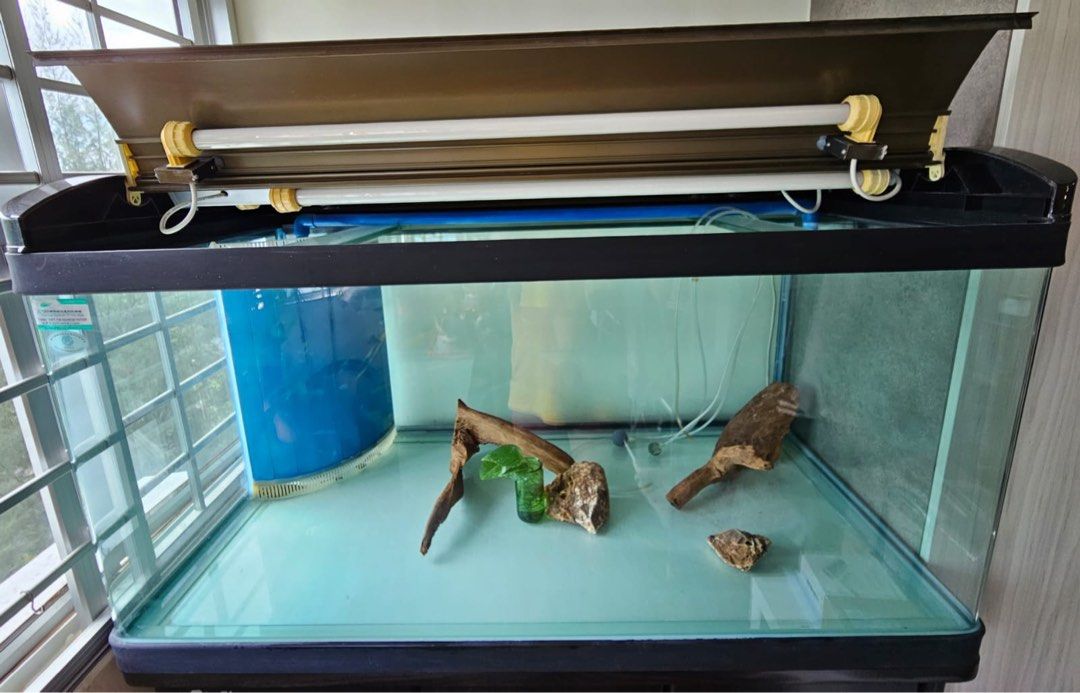 5 feet Fish Tank, Pet Supplies, Homes & Other Pet Accessories on Carousell