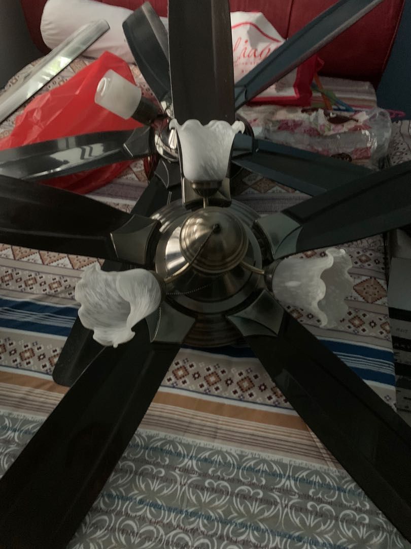 Celing fan, Furniture & Home Living, Lighting & Fans, Fans on Carousell