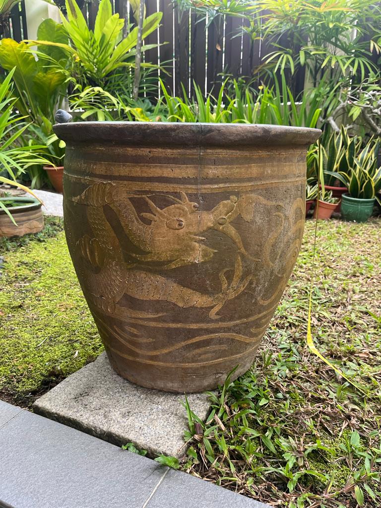 Dragon pot, Furniture & Home Living, Gardening, Pots & Planters on ...