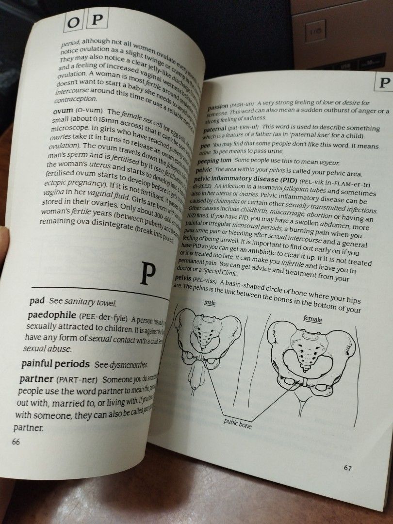 Eng Sex Education Dictionary Hobbies And Toys Books And Magazines Textbooks On Carousell