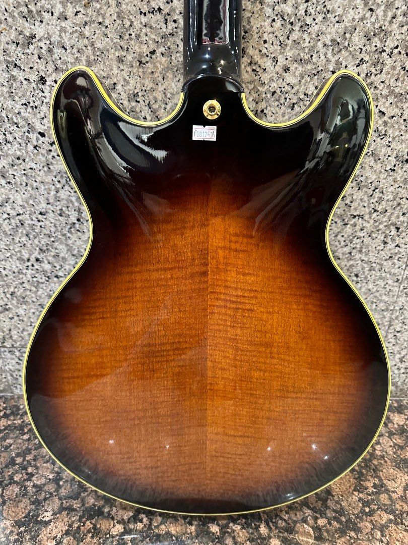 Ibanez JSM100-VT John Scofield Signature Semi-Hollowbody, Hobbies ...