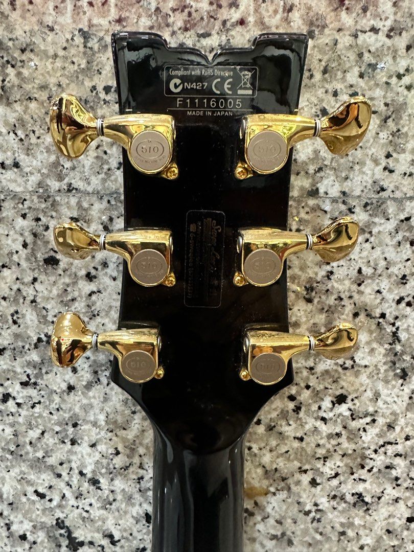 Ibanez JSM100-VT John Scofield Signature Semi-Hollowbody, Hobbies ...