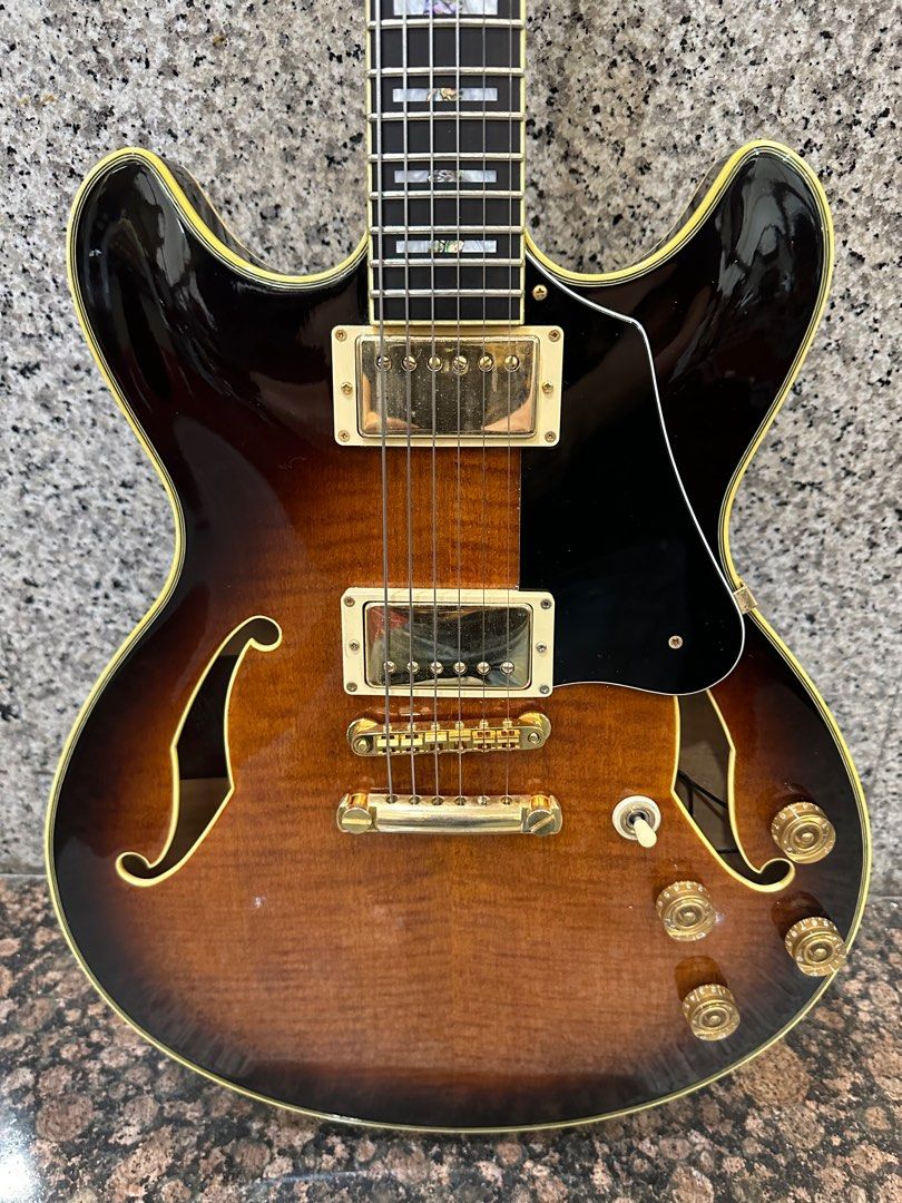 Ibanez JSM100-VT John Scofield Signature Semi-Hollowbody, Hobbies ...