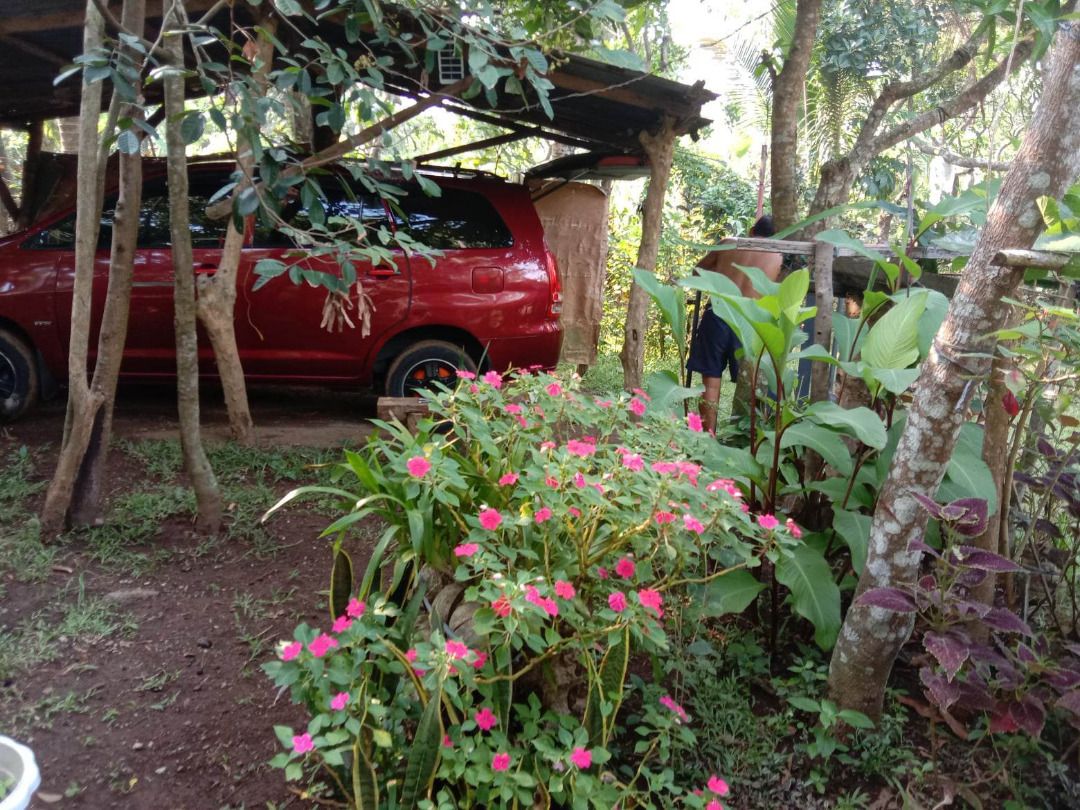indang cavite, Property, For Sale, Lot on Carousell