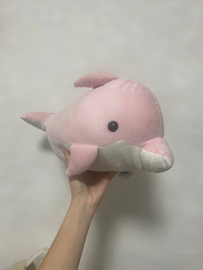 Pink Dolphin Plush (Underwater World SG), Hobbies & Toys, Toys & Games ...