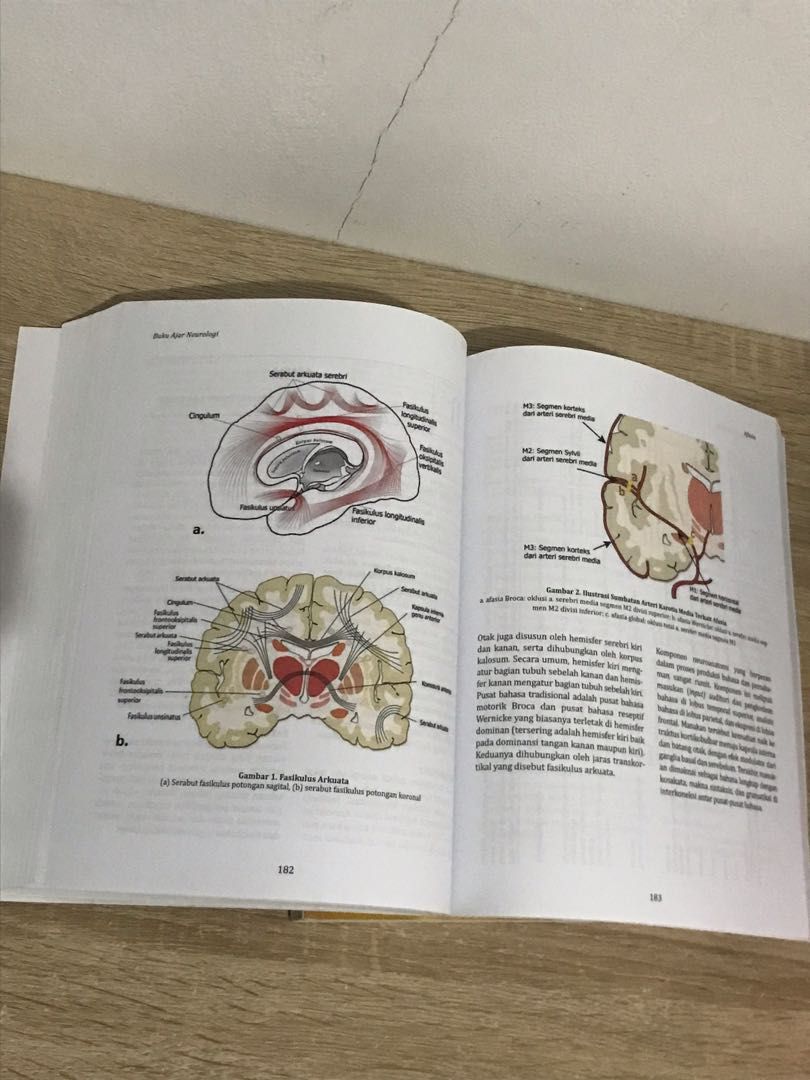 [Preloved] Buku Ajar Neurologi FKUI Edisi 1, Buku & Alat Tulis, Buku ...