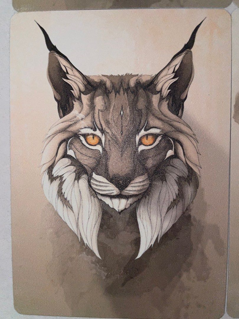 Rafapasta Wild Animals Kingdom Small Displate Collection, Hobbies ...