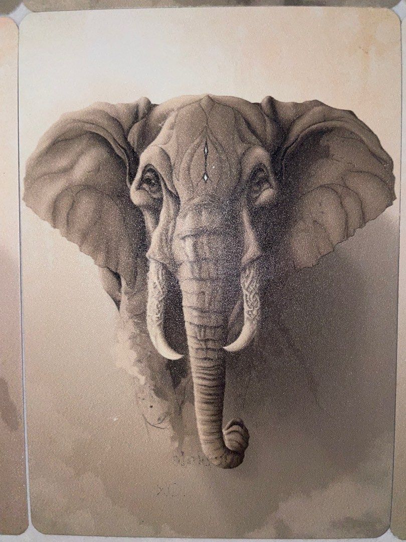 Rafapasta Wild Animals Kingdom Small Displate Collection, Hobbies ...