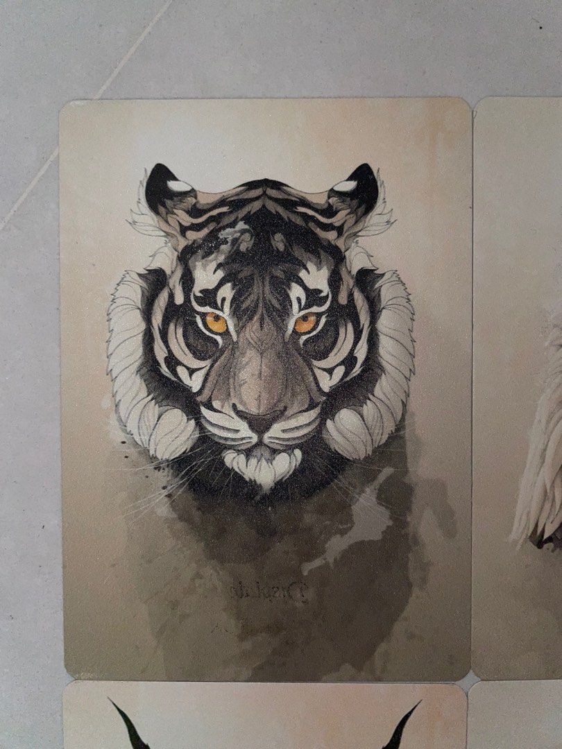 Rafapasta Wild Animals Kingdom Small Displate Collection, Hobbies ...