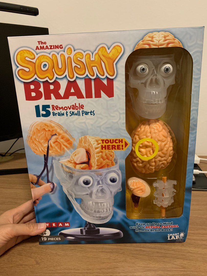 The Amazing Squishy Brain Toy, Hobbies & Toys, Toys & Games on Carousell