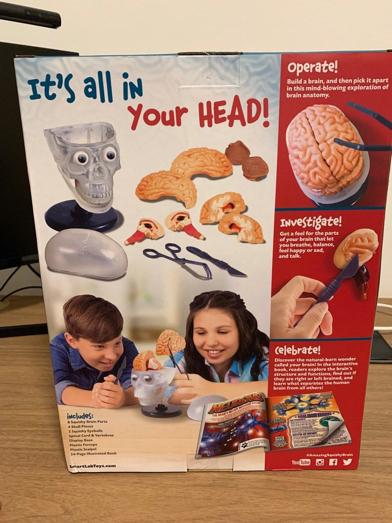 The Amazing Squishy Brain Toy, Hobbies & Toys, Toys & Games on Carousell