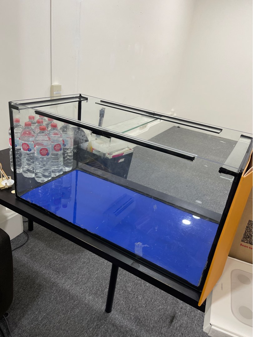 3 feet fish tank, Pet Supplies, Homes & Other Pet Accessories on Carousell