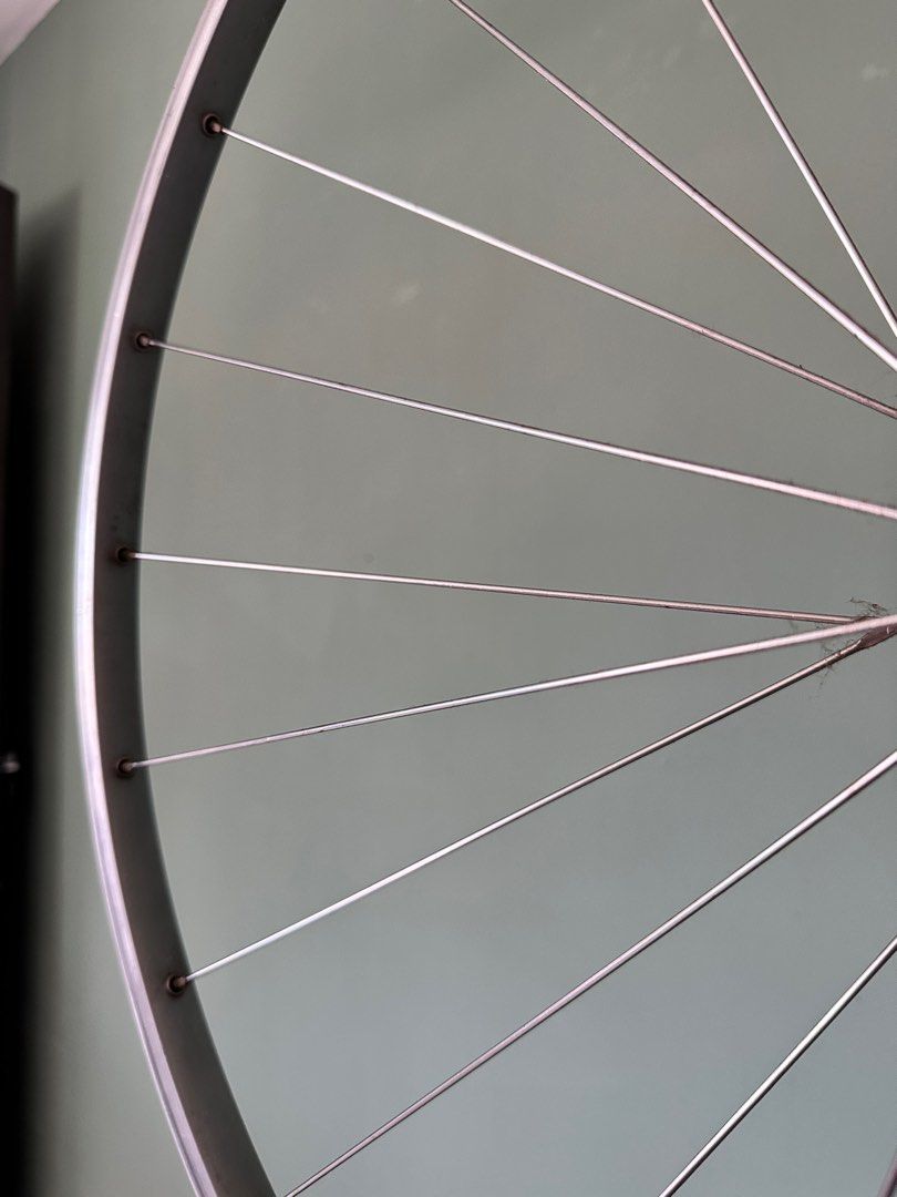 Campagnolo proton box rims clinchers wheelset, Sports Equipment ...