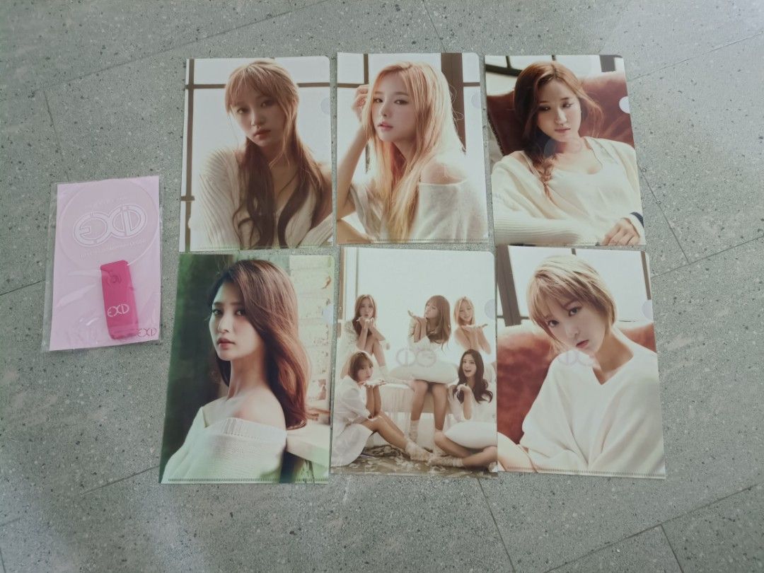 Exid lightstick, Hobbies & Toys, Memorabilia & Collectibles, K-Wave on ...