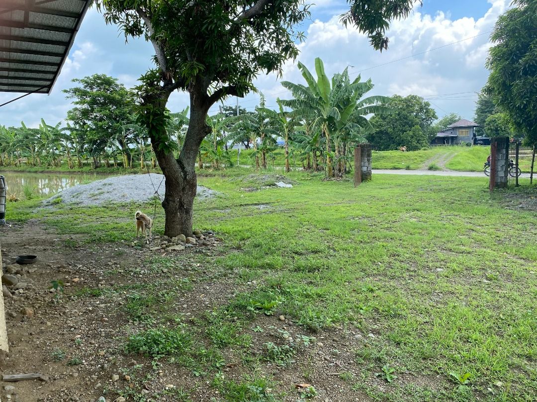 Farm Lot Maligaya San Miguel Bulacan, Property, For Sale, Lot on Carousell