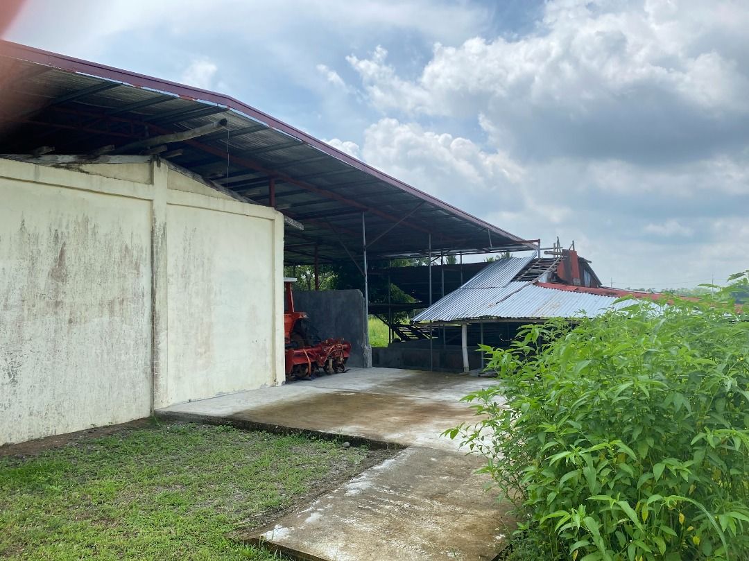 Farm Lot Maligaya San Miguel Bulacan, Property, For Sale, Lot on Carousell