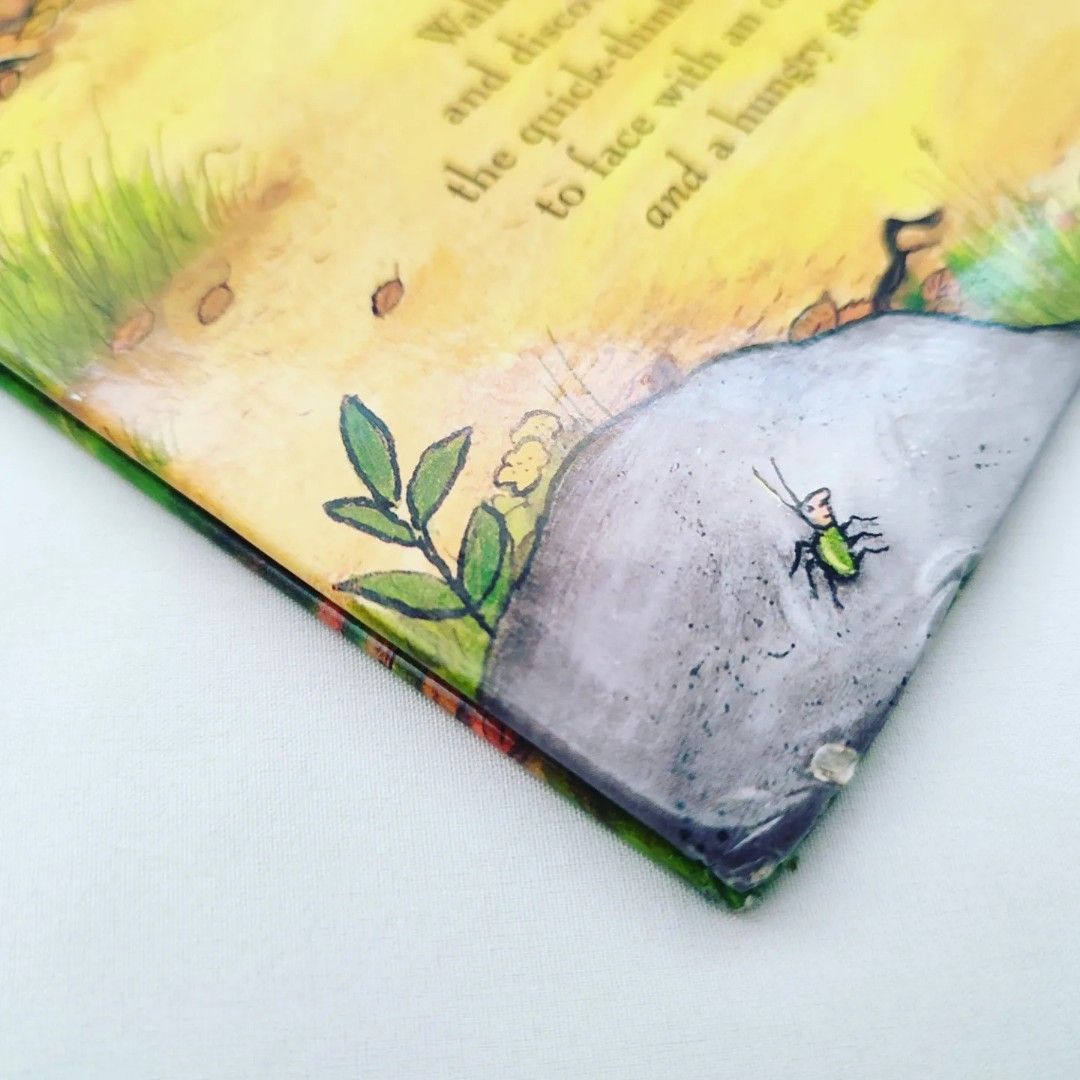 The Gruffalo Harbound Book Set Julia Donaldson, Hobbies & Toys, Books ...