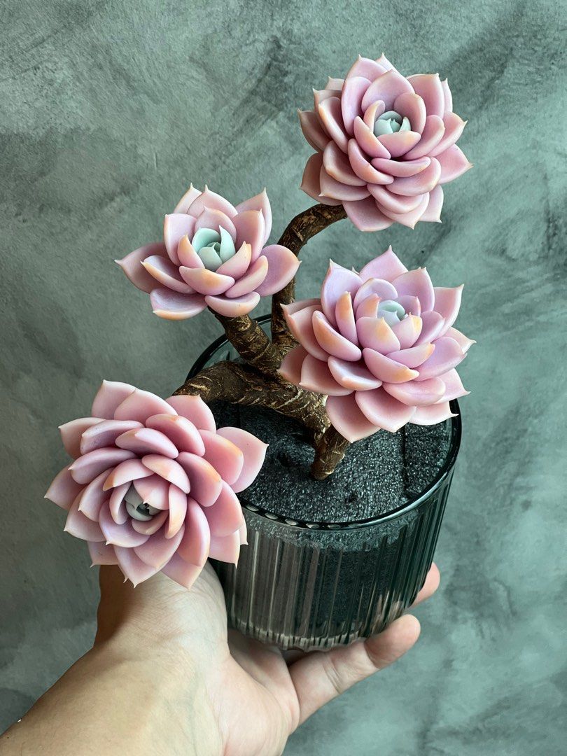 Handmade Clay Succulents, Furniture & Home Living, Home Decor, Artificial Plants & Flowers on ...