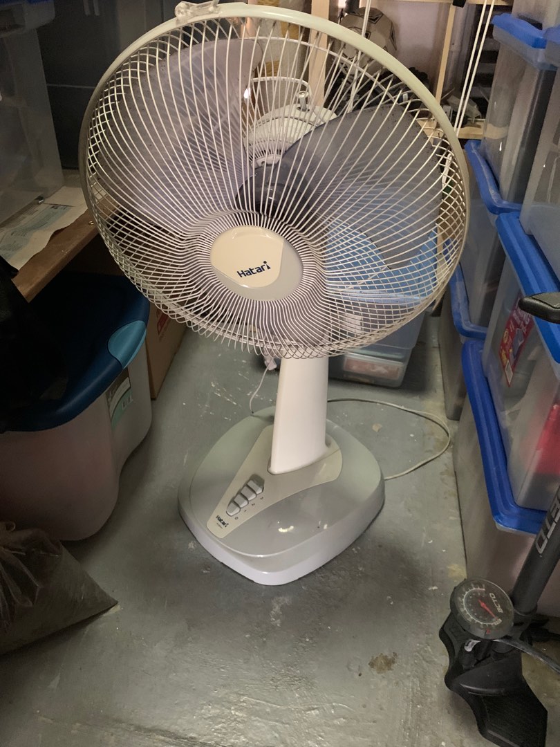 Hatari standing fan, Furniture & Home Living, Lighting & Fans, Fans on ...