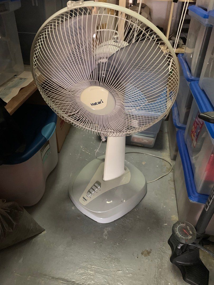 Hatari standing fan, Furniture & Home Living, Lighting & Fans, Fans on ...