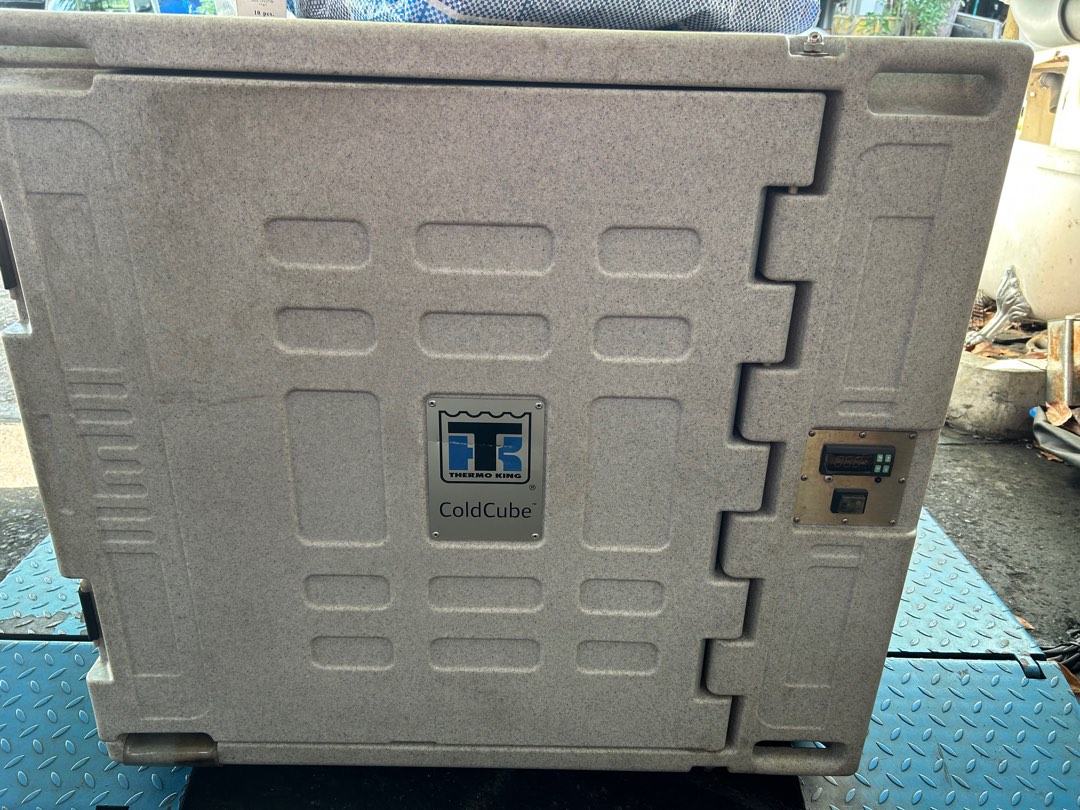 Thermo King (Made in Italy) In van Freezer, TV & Home Appliances ...