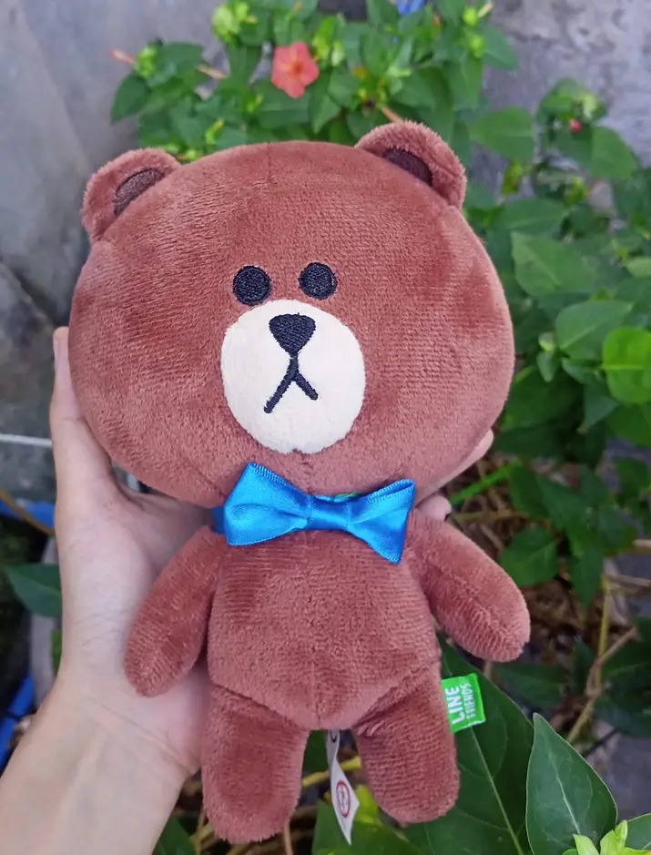 Line friends bear, Hobbies & Toys, Toys & Games on Carousell