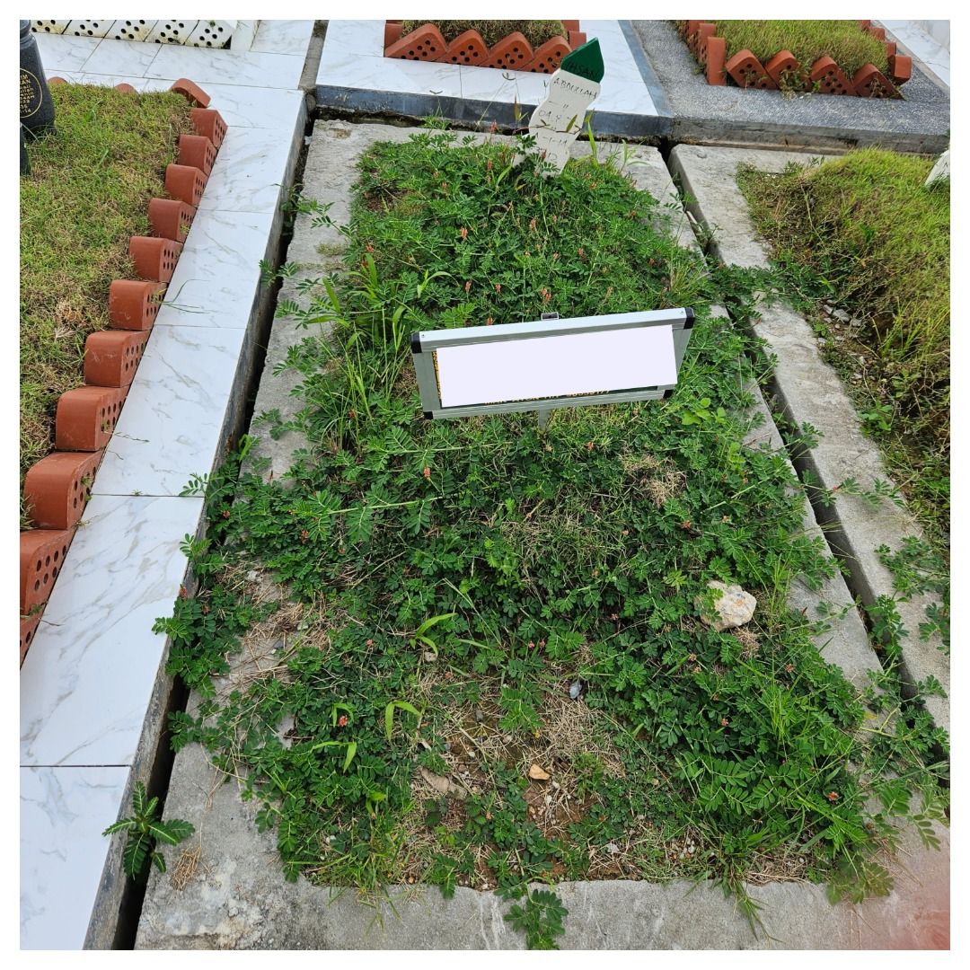 MEMBERSIHKAN KUBUR DAN PUSARA, Furniture & Home Living, Gardening ...