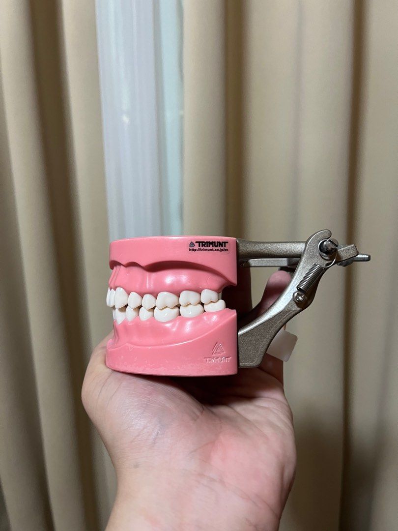 ORIGINAL TRIMUNT TYPODONT ARTICULATOR, Health & Nutrition, Medical ...