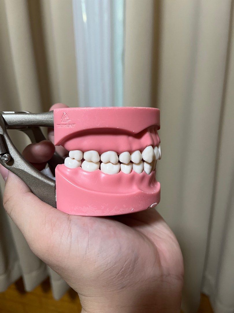 ORIGINAL TRIMUNT TYPODONT ARTICULATOR, Health & Nutrition, Medical ...