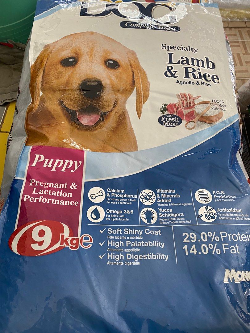 Special Dog Puppy on Carousell