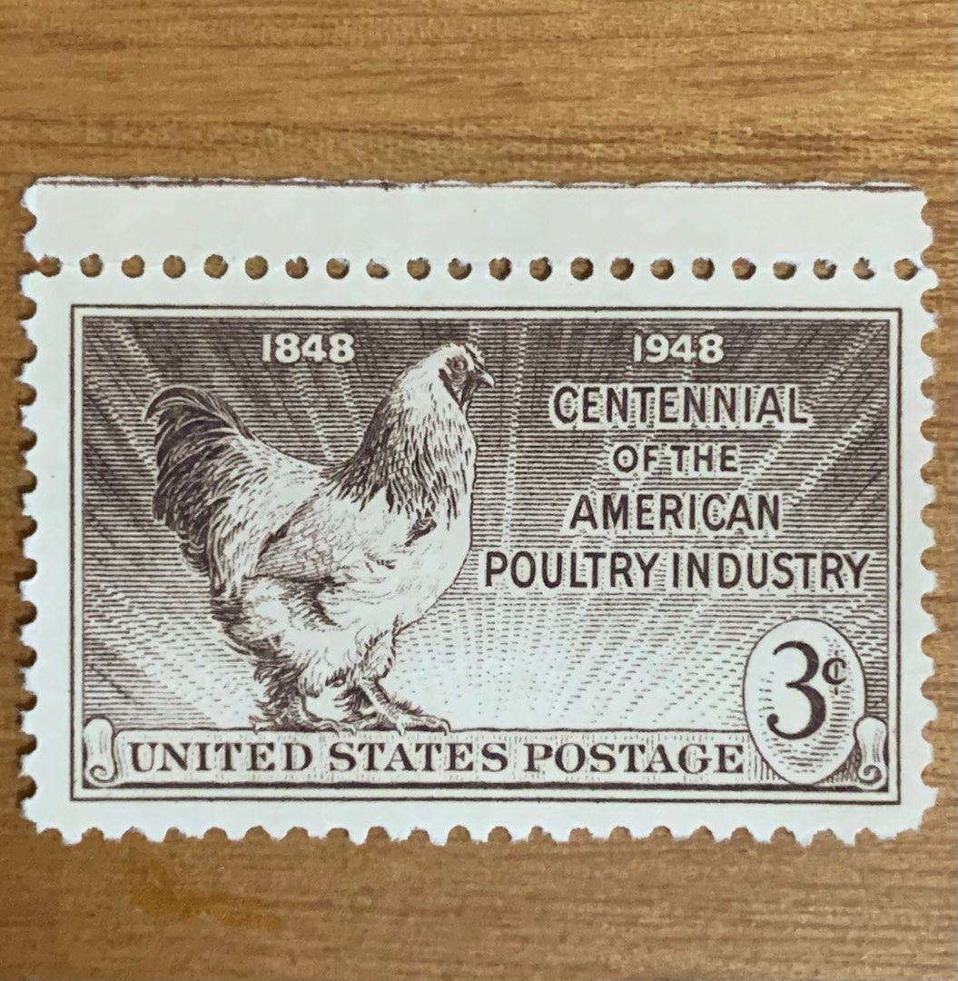 USA 1948 centenary of poultry industry stamp mint no gum (chicken ...