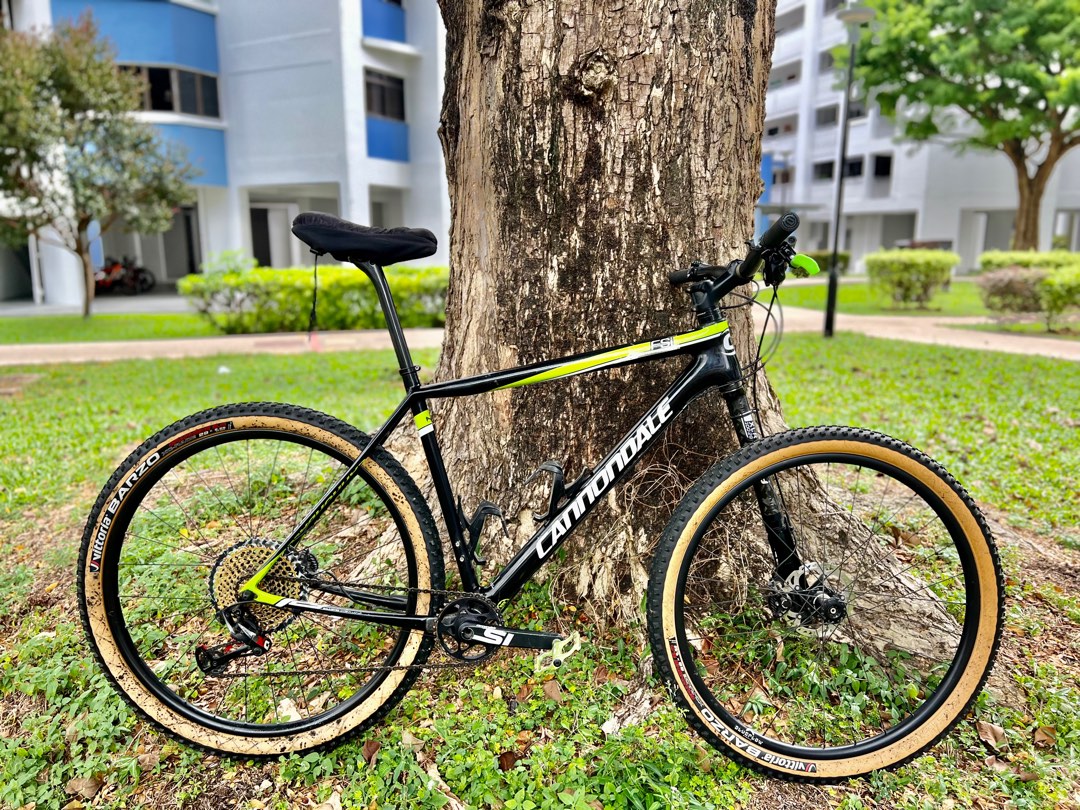 29er Carbon Cannondale Lefty, Sports Equipment, Bicycles & Parts ...