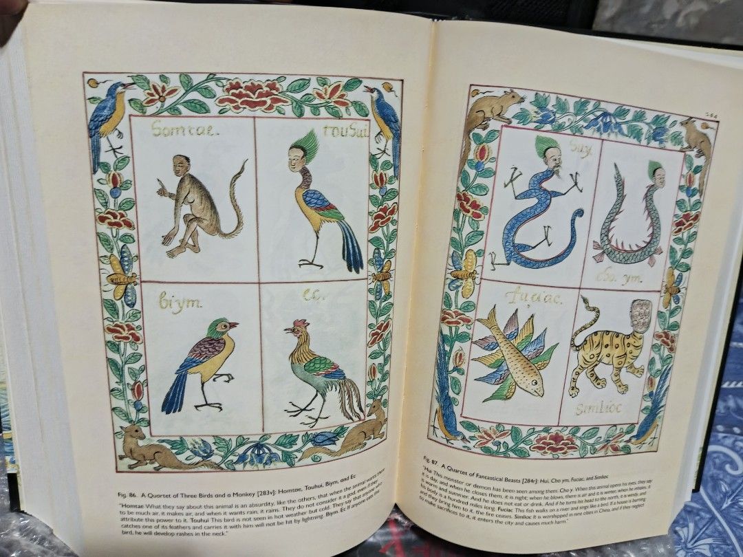 Boxer Codex (2nd Edition) Hardbound, Hobbies & Toys, Books & Magazines ...