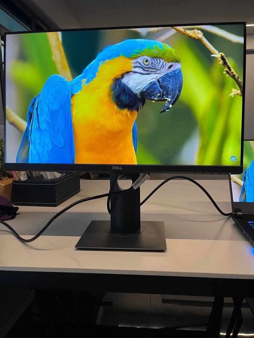 DELL P2419H 24" inch FHD IPS Monitor Height Swivel Rotate Landscape ...