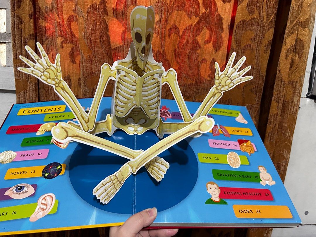 DK The Pop Up Pull Out Book about the Human Body, Hobbies & Toys, Books ...