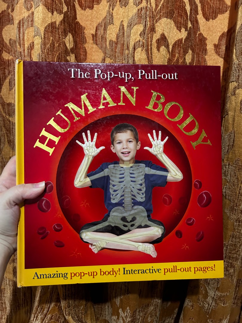 DK The Pop Up Pull Out Book about the Human Body, Hobbies & Toys, Books ...