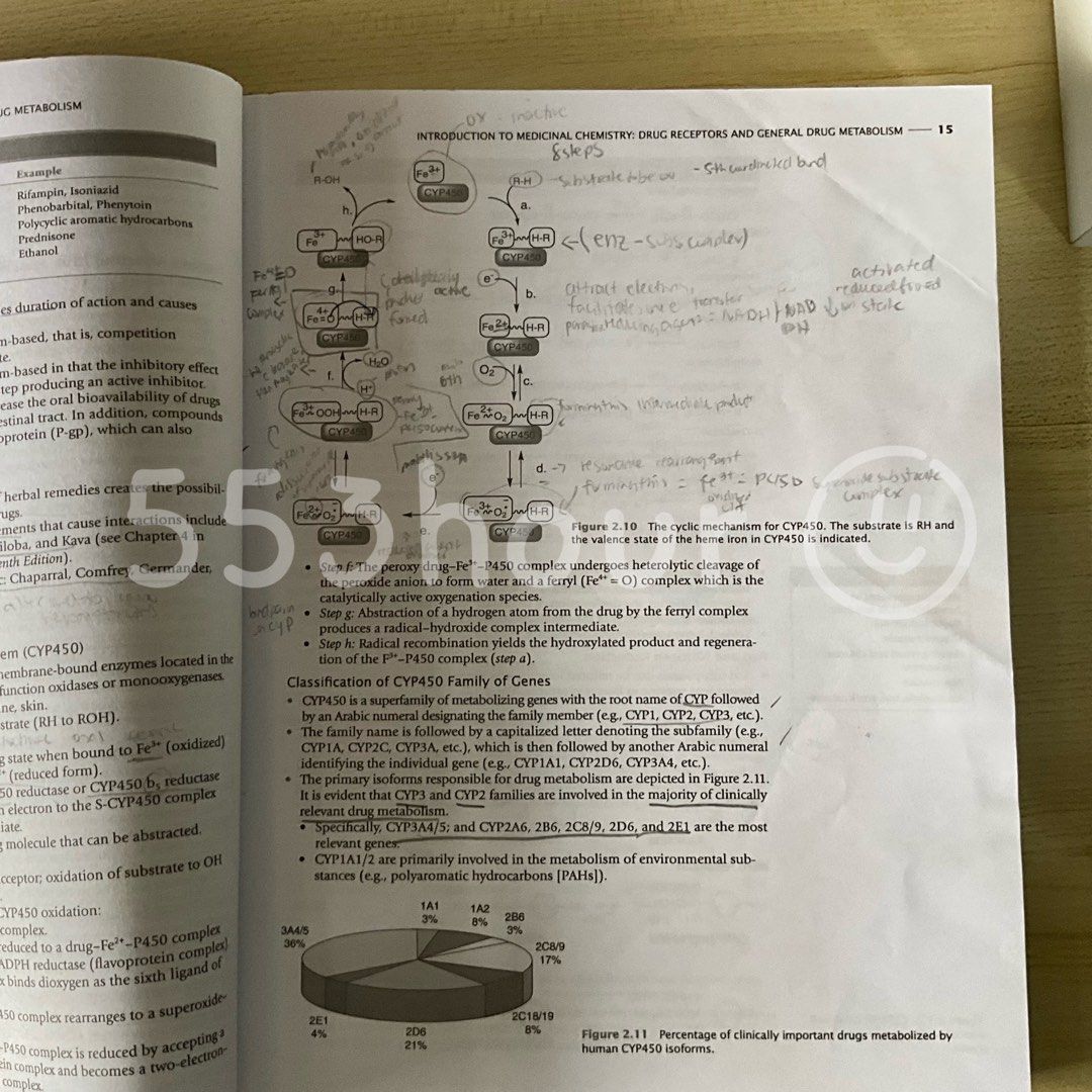 Essentials of Foye’s Principles of Medicinal Chemistry, Hobbies & Toys ...