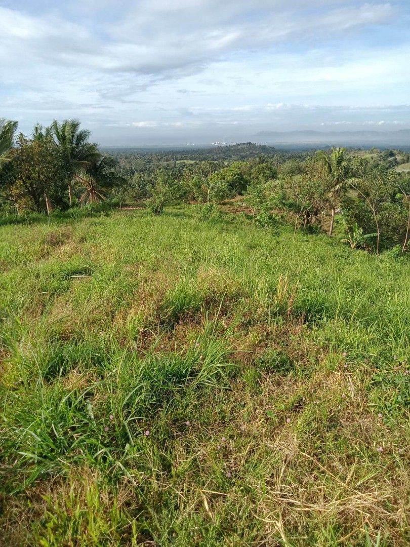Farm lot/vacation lot, Property, For Sale, Lot on Carousell