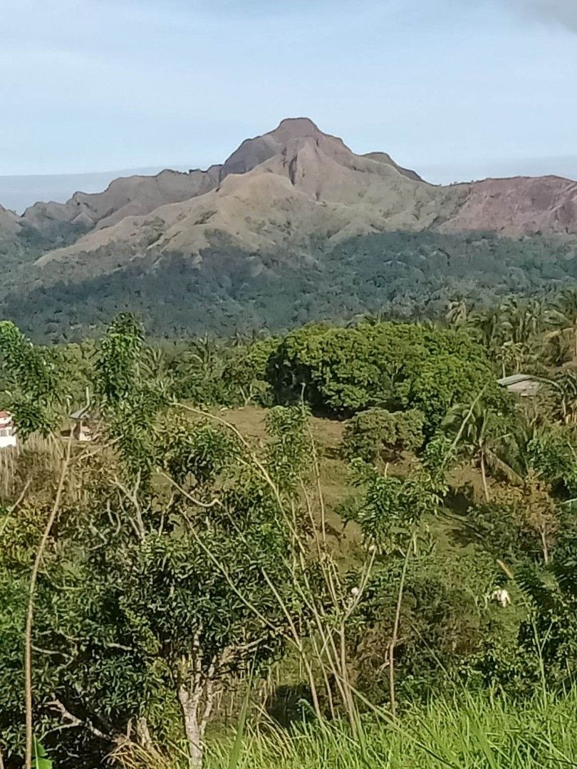 Farm lot/vacation lot, Property, For Sale, Lot on Carousell