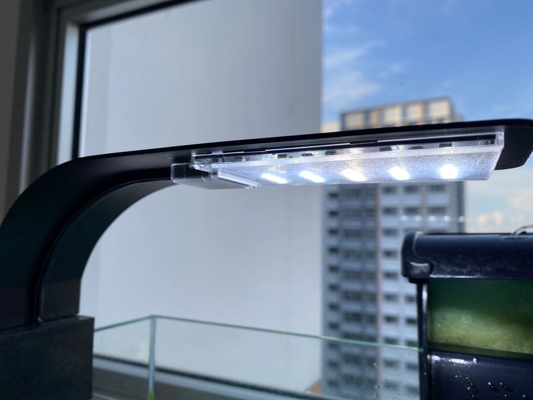 Fish /Turtle tank with filter & LED light set, Everything Else on Carousell