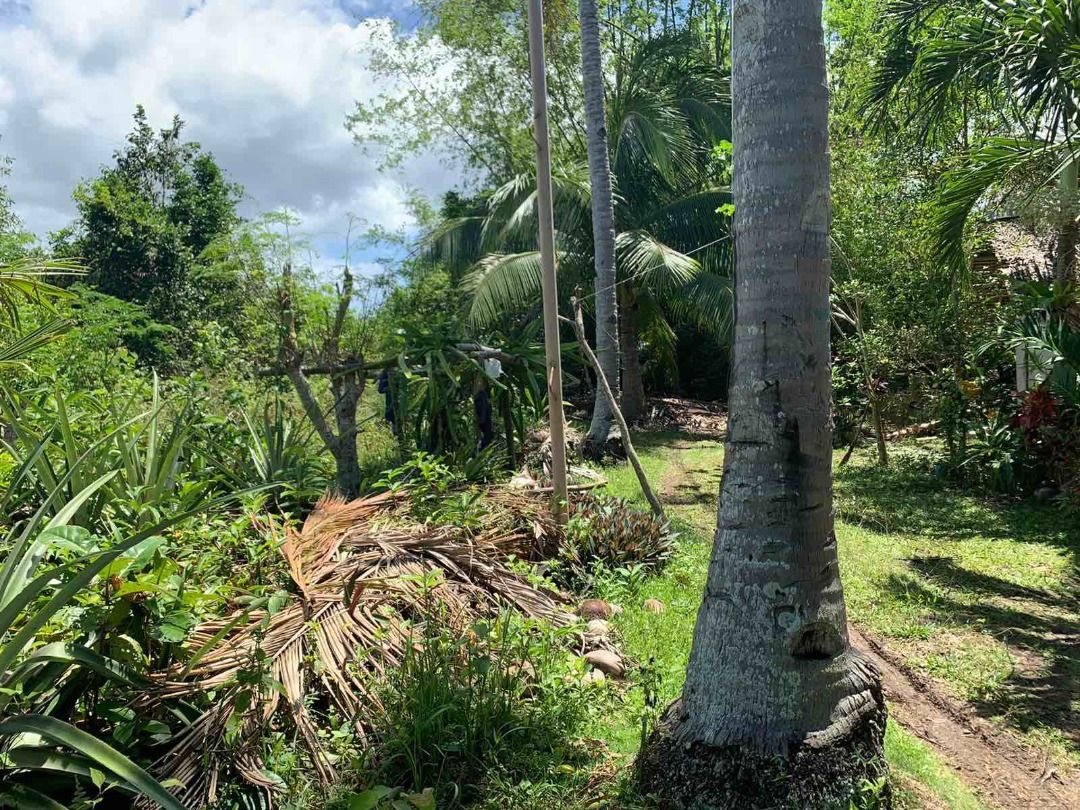 For Sale: Lot in Bil-isan Panglao Bohol, Property, For Sale, Lot on ...