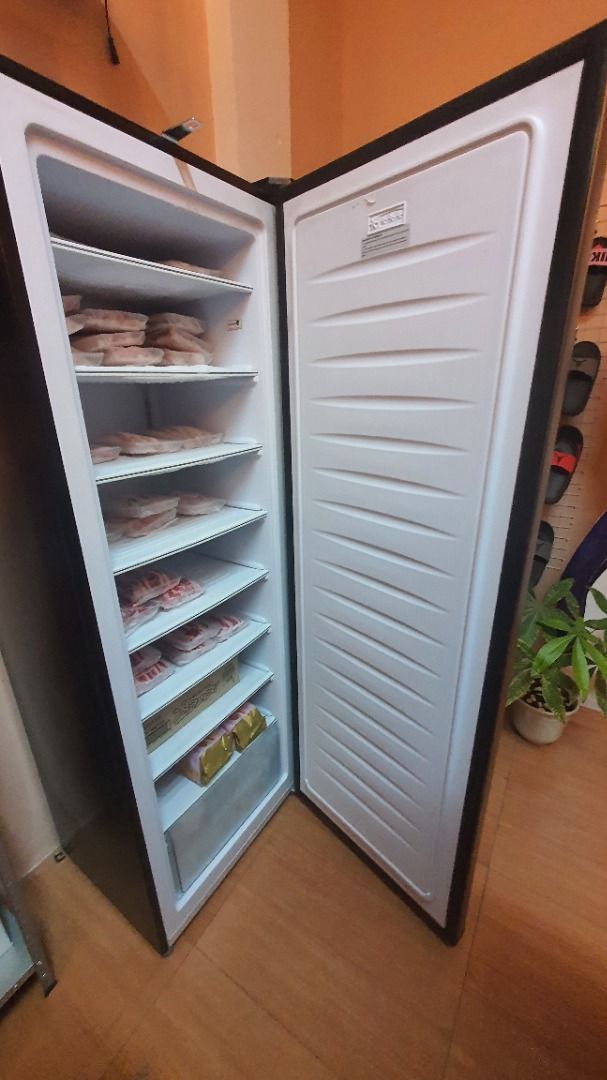 Fujidenzo UF-110 SS 11.0 cu.ft. Heavy Duty Upright Freezer, TV & Home ...