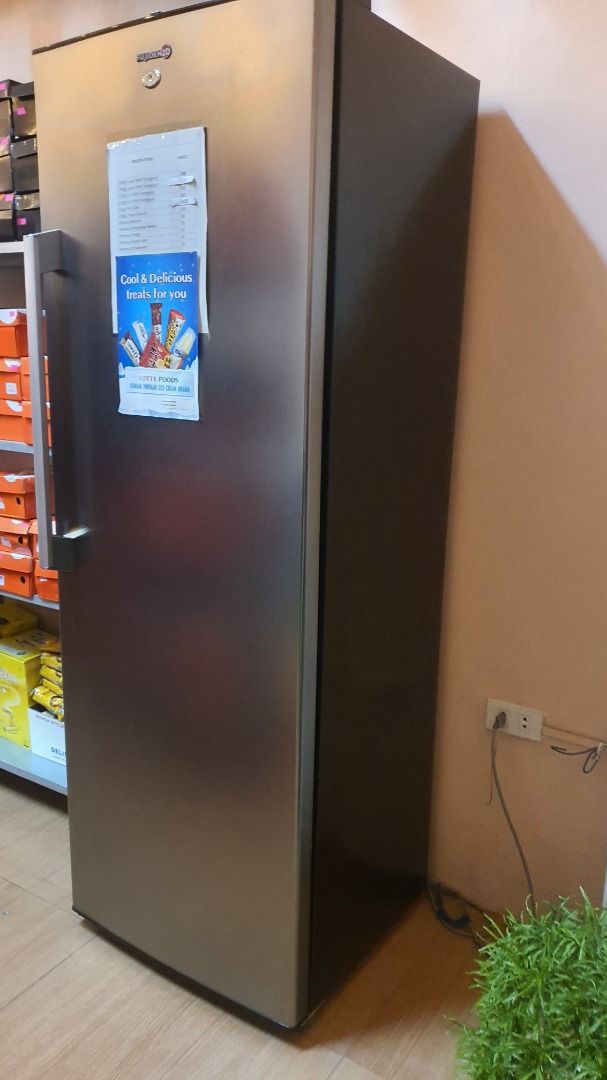 Fujidenzo UF-110 SS 11.0 cu.ft. Heavy Duty Upright Freezer, TV & Home ...