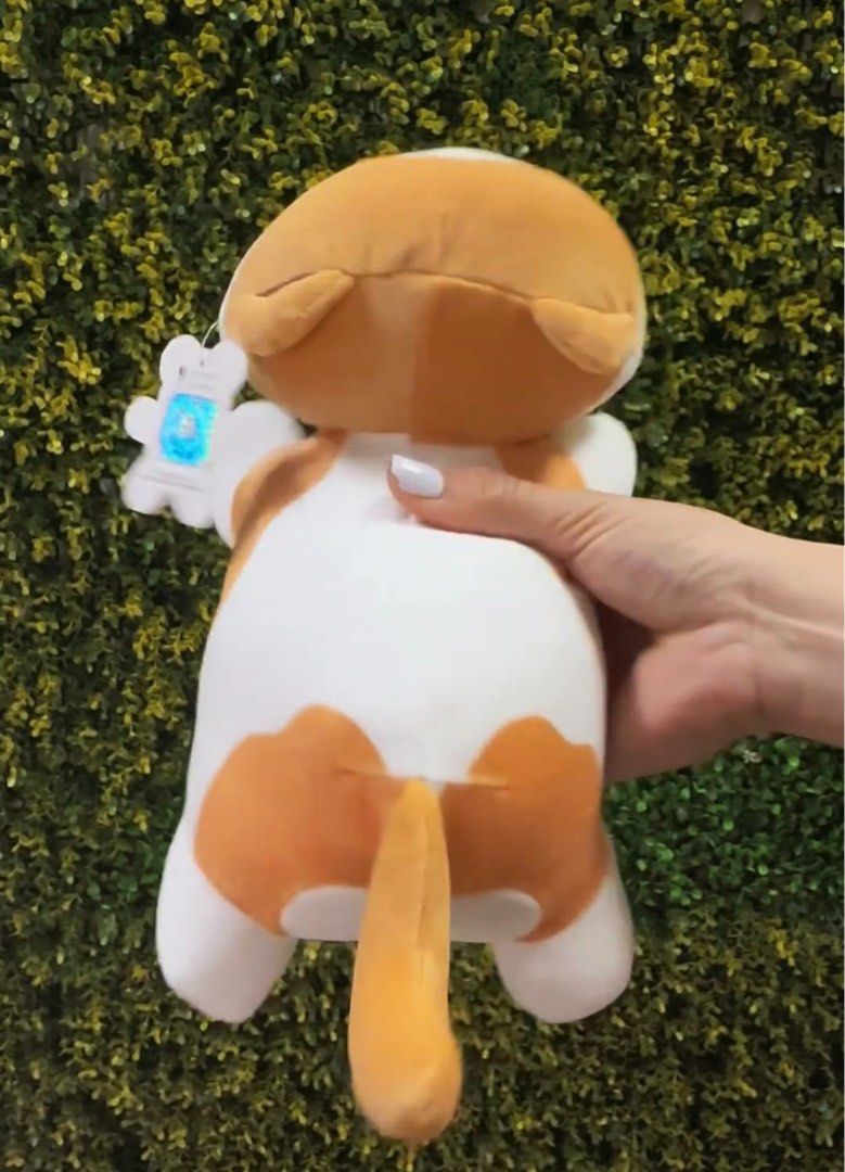 Fun Claw Cat Plushie Kitty Soft Toy Meow, Hobbies & Toys, Toys & Games ...