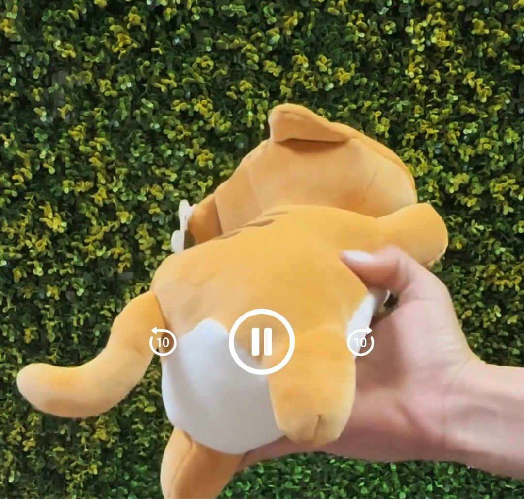 Fun Claw Cat Plushie Kitty Soft Toy Meow, Hobbies & Toys, Toys & Games ...