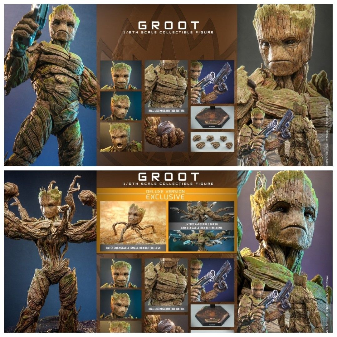 Hot Toys MMS706 MMS707 Groot Guardians of the Galaxy Vol.3, Hobbies ...