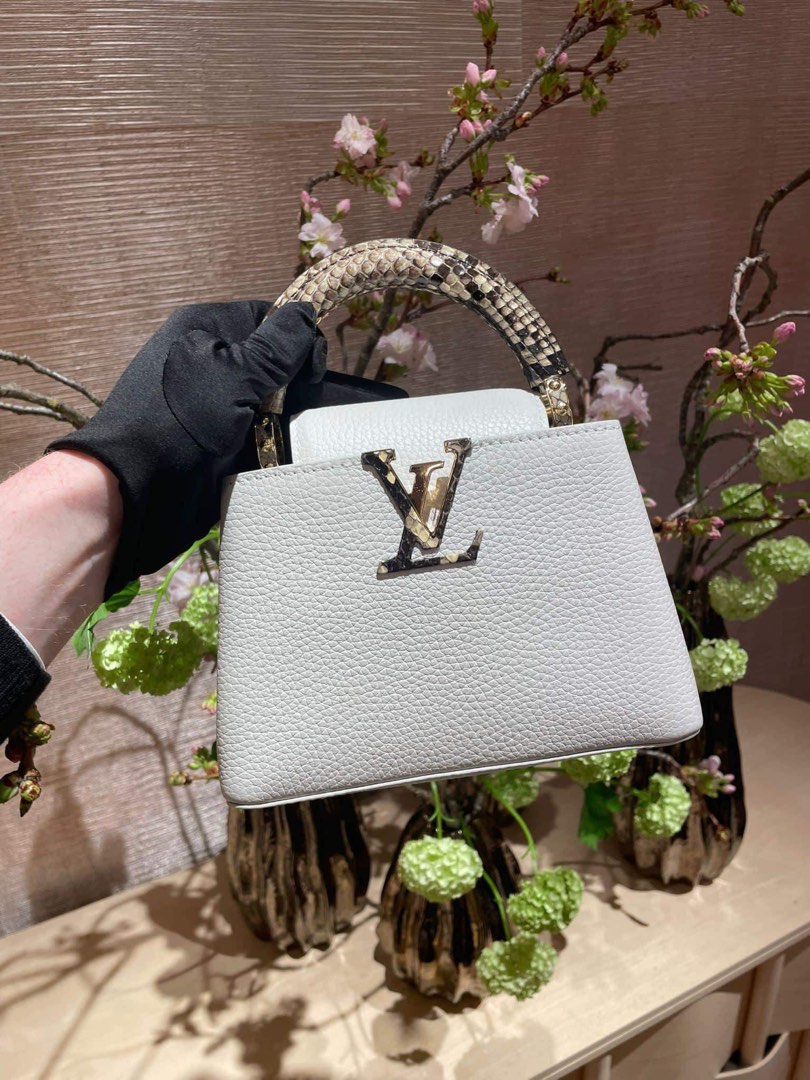 LV, Luxury, Bags & Wallets on Carousell