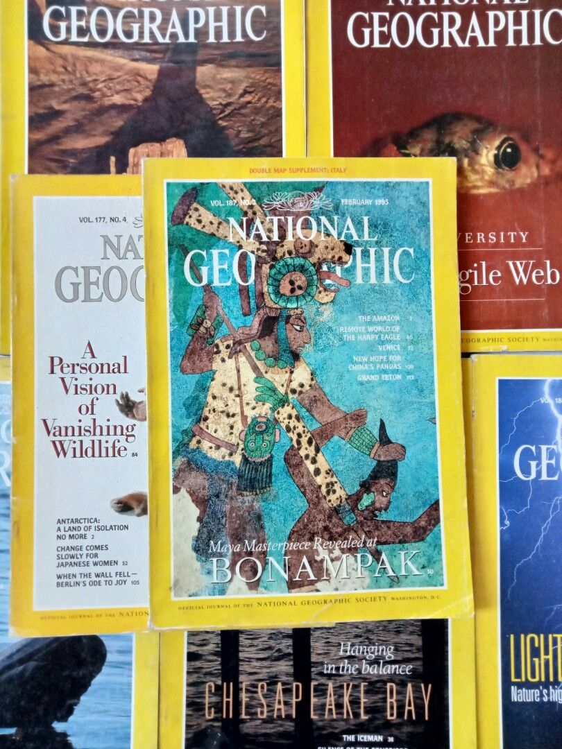 NATIONAL GEOGRAPHIC MAGAZINES VINTAGE, Hobbies & Toys, Books ...
