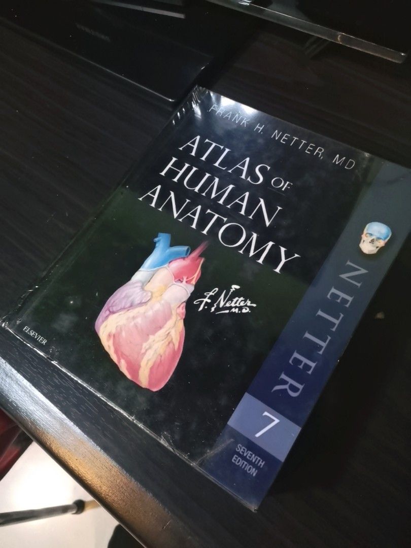 Netter Atlas of Human Anatomy 7th Edition, Hobbies & Toys, Books ...