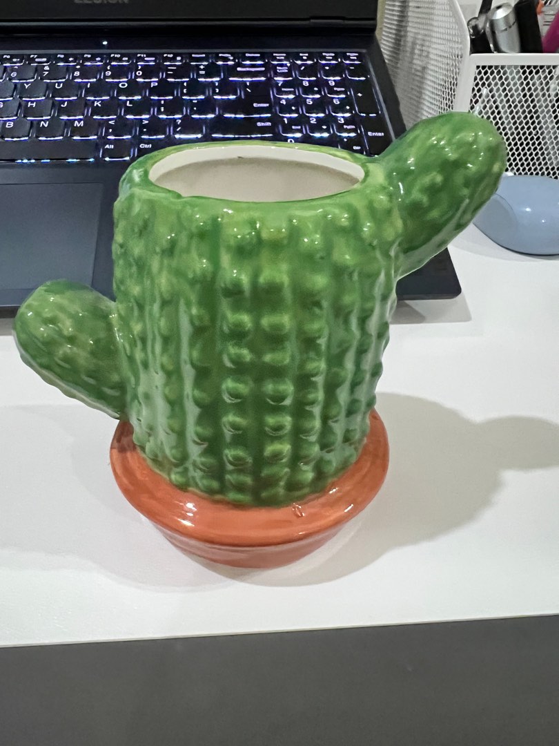 Typo cactus pen holder, Hobbies & Toys, Stationary & Craft, Stationery ...